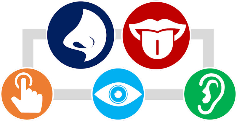 Swift Blog: The life of a sensory scientist